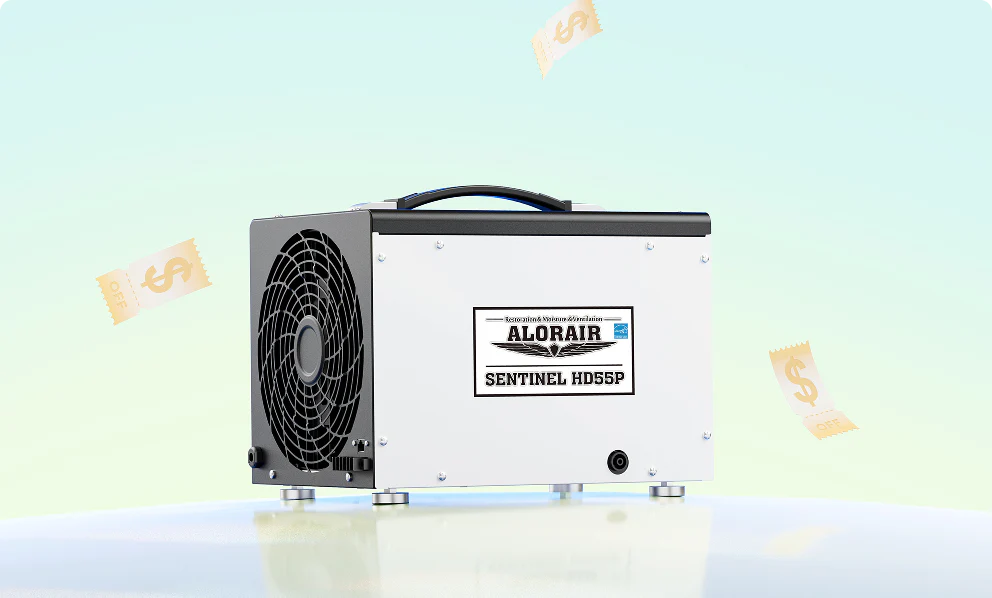 Do I Need A Dehumidifier In The Winternull
