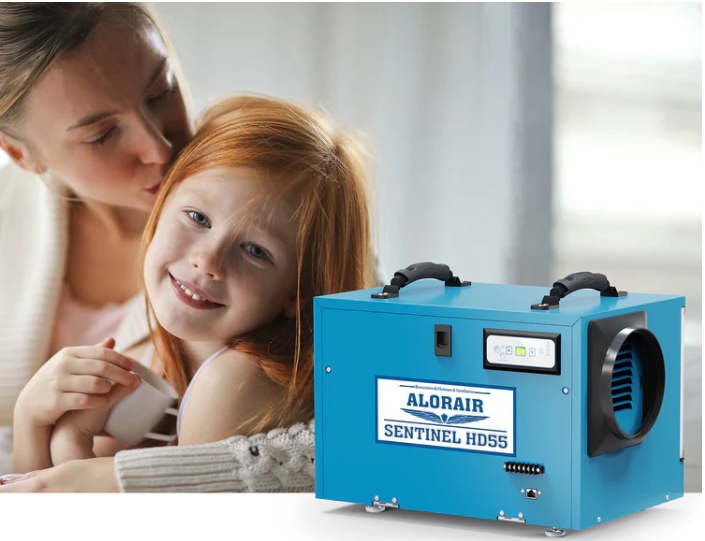 Crawl Space Dehumidifier Cost: Unit, Install & Running – AlorairCrawlspace