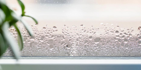 What Causes High Humidity in a House? – AlorairCrawlspace